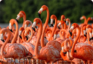 Retail & Membership Sales